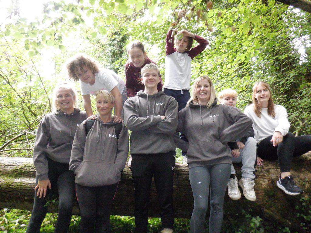 Curriculum - 3Dimensions