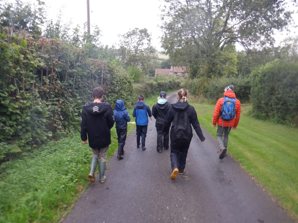 Curriculum - 3Dimensions